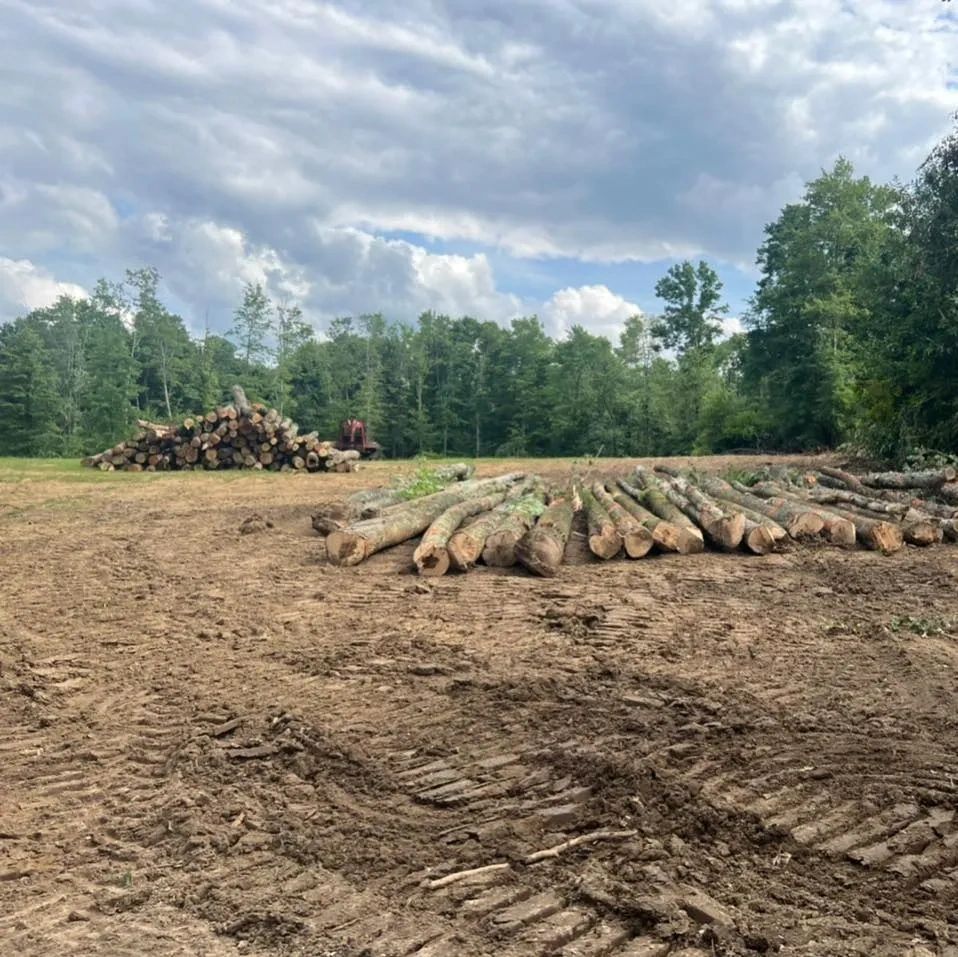 Logging and Excavating Contractor Services | JDS Hardwood LLC