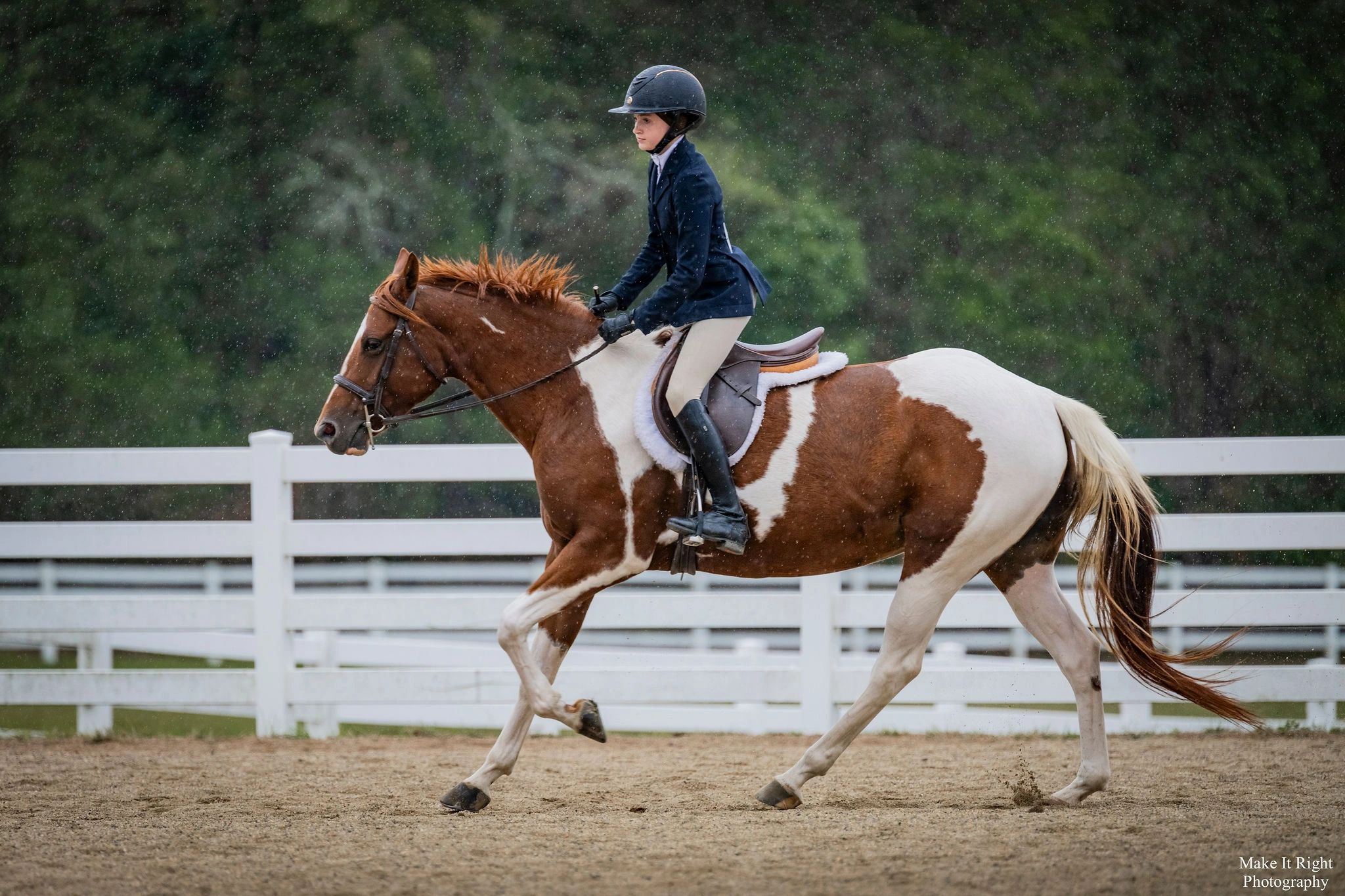 Shannon Piper Equestrian