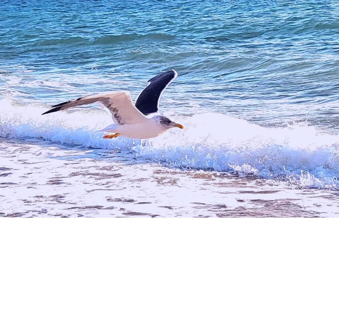 Sea2Sea Destinations