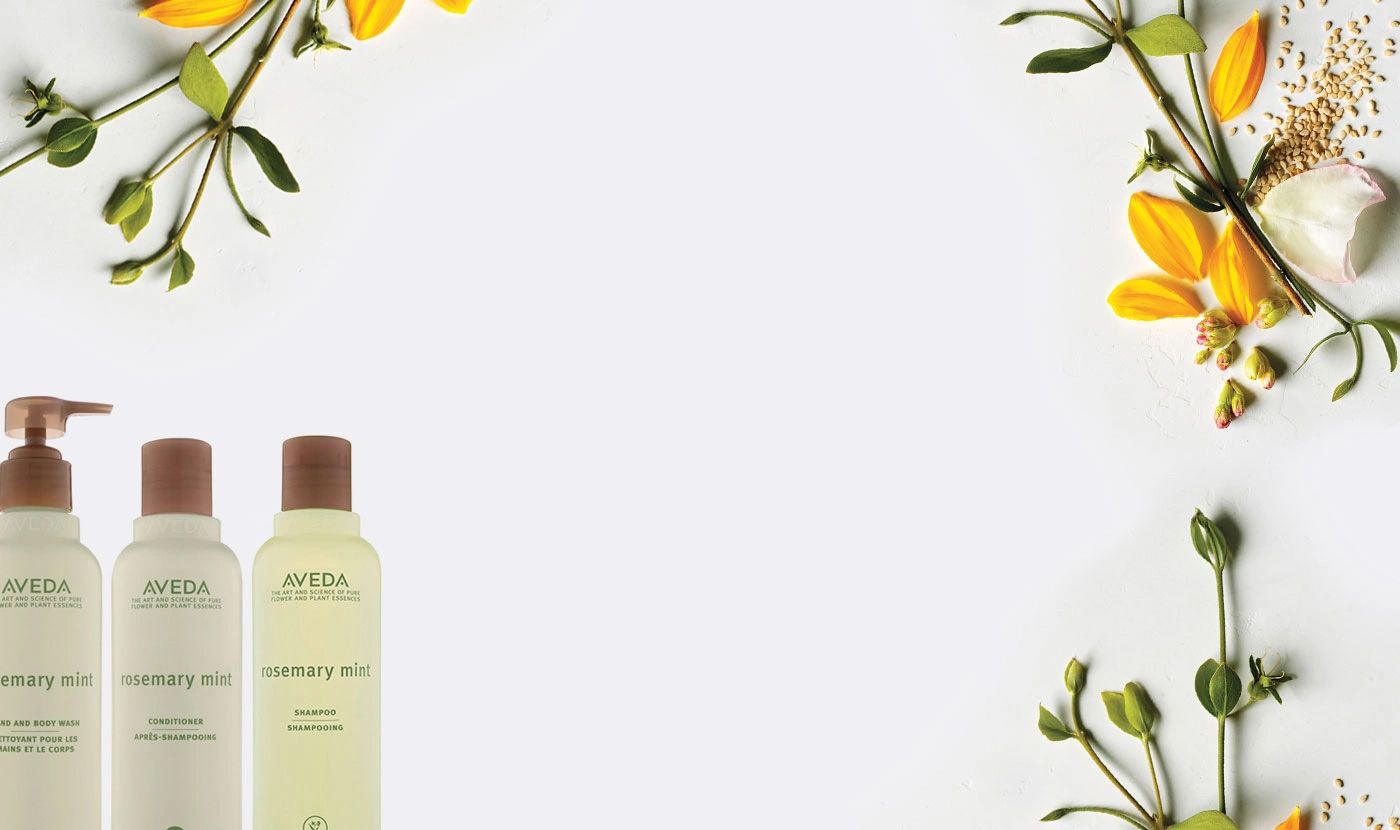 Shear Style Hair & Spa