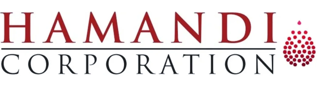 About Hamandi Corp