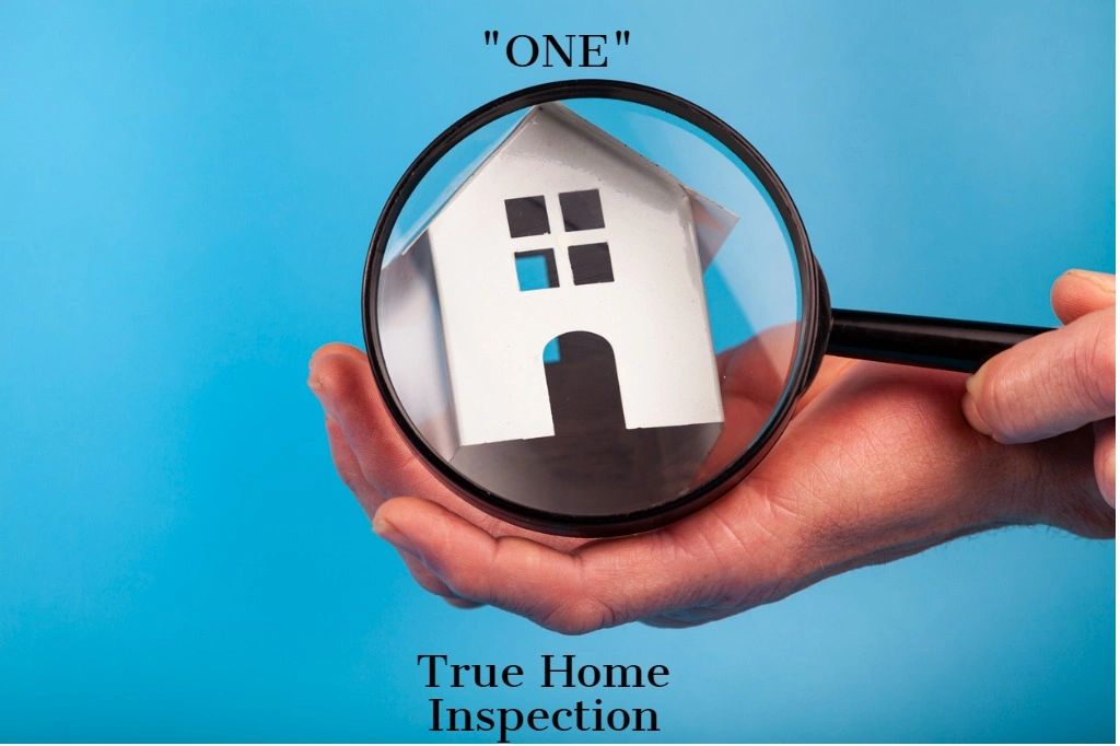 Professional Home Inspection Services