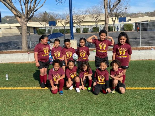 home [wolverinesrugbyclub.com]