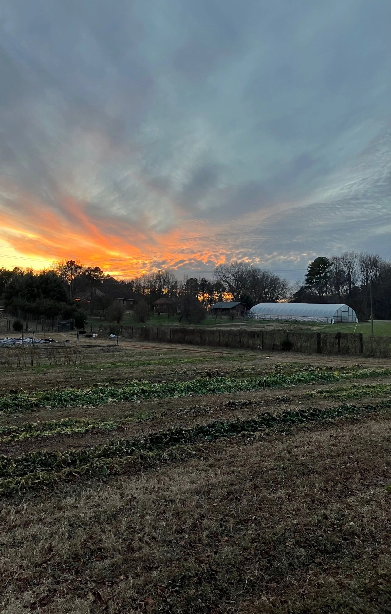 Home [smallcityfarm.com]