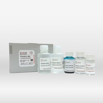 Axiliaries-Staining Kits