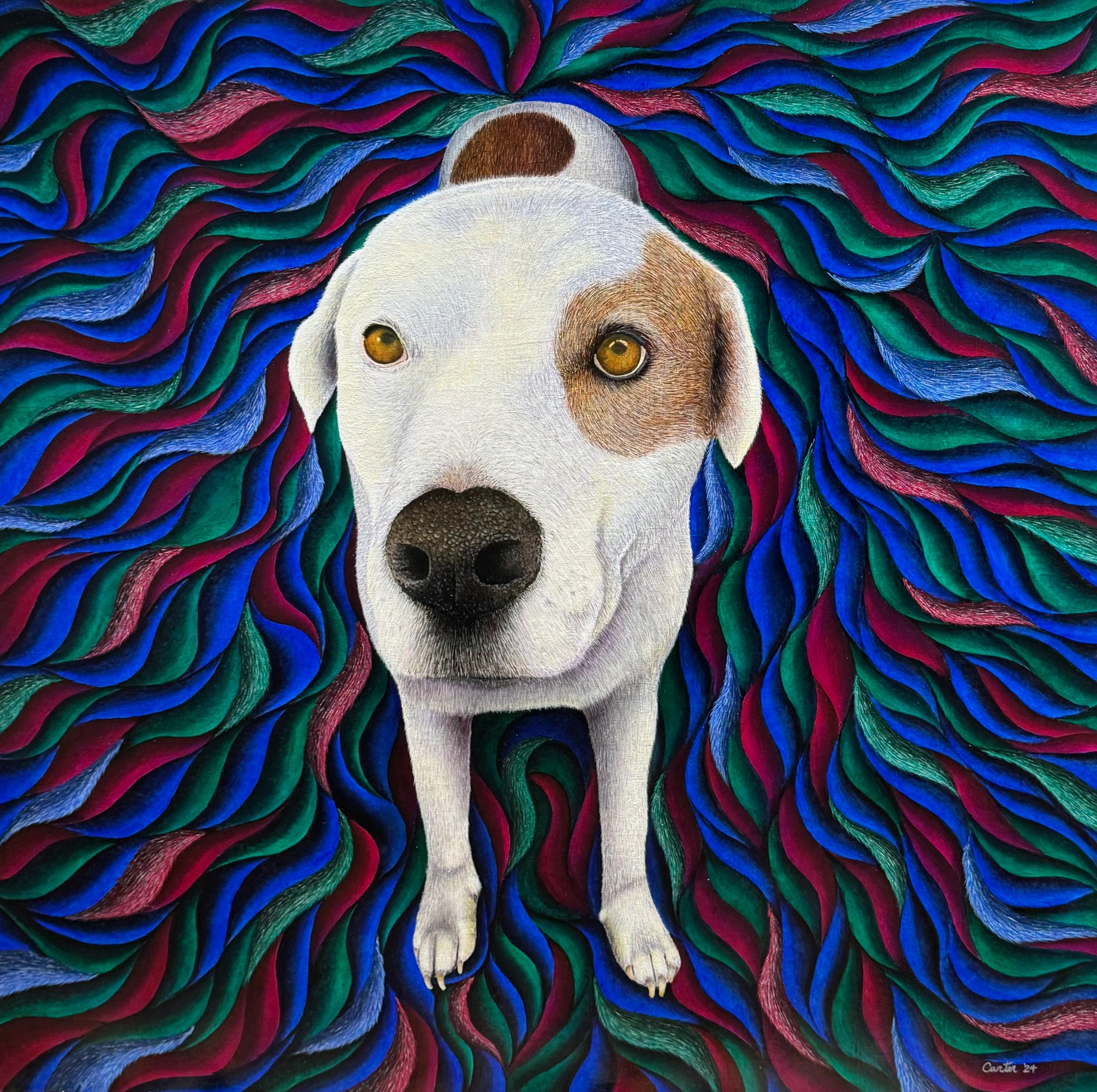 Patrick Carter - Pencil drawings & Fine Art Reproductions