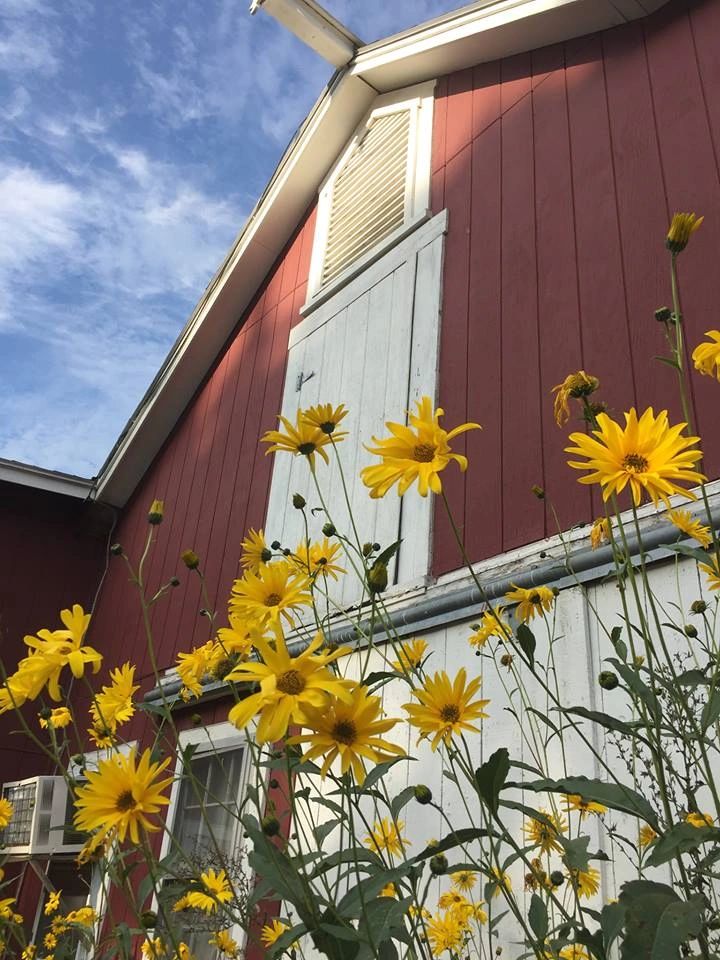 Sunny Nook Farm - Feed Store - Rochester, Massachusetts