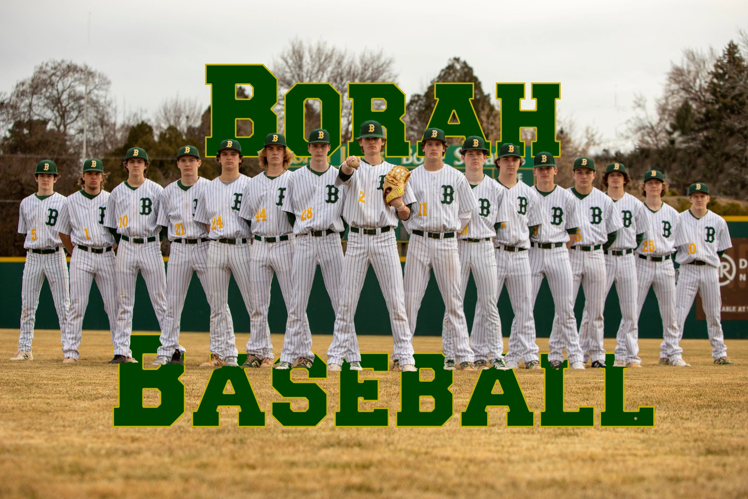 Borahbaseball.com