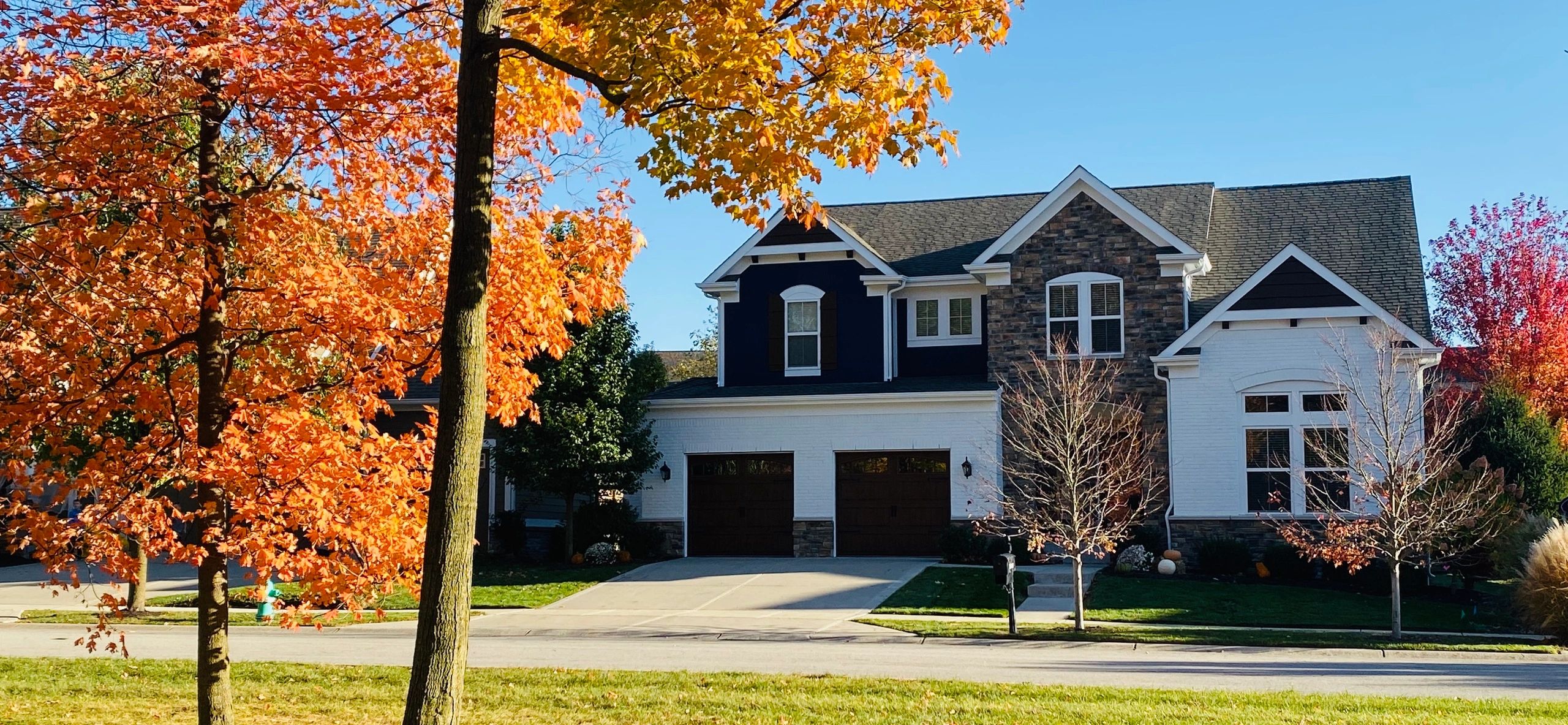 Color Smart Painting