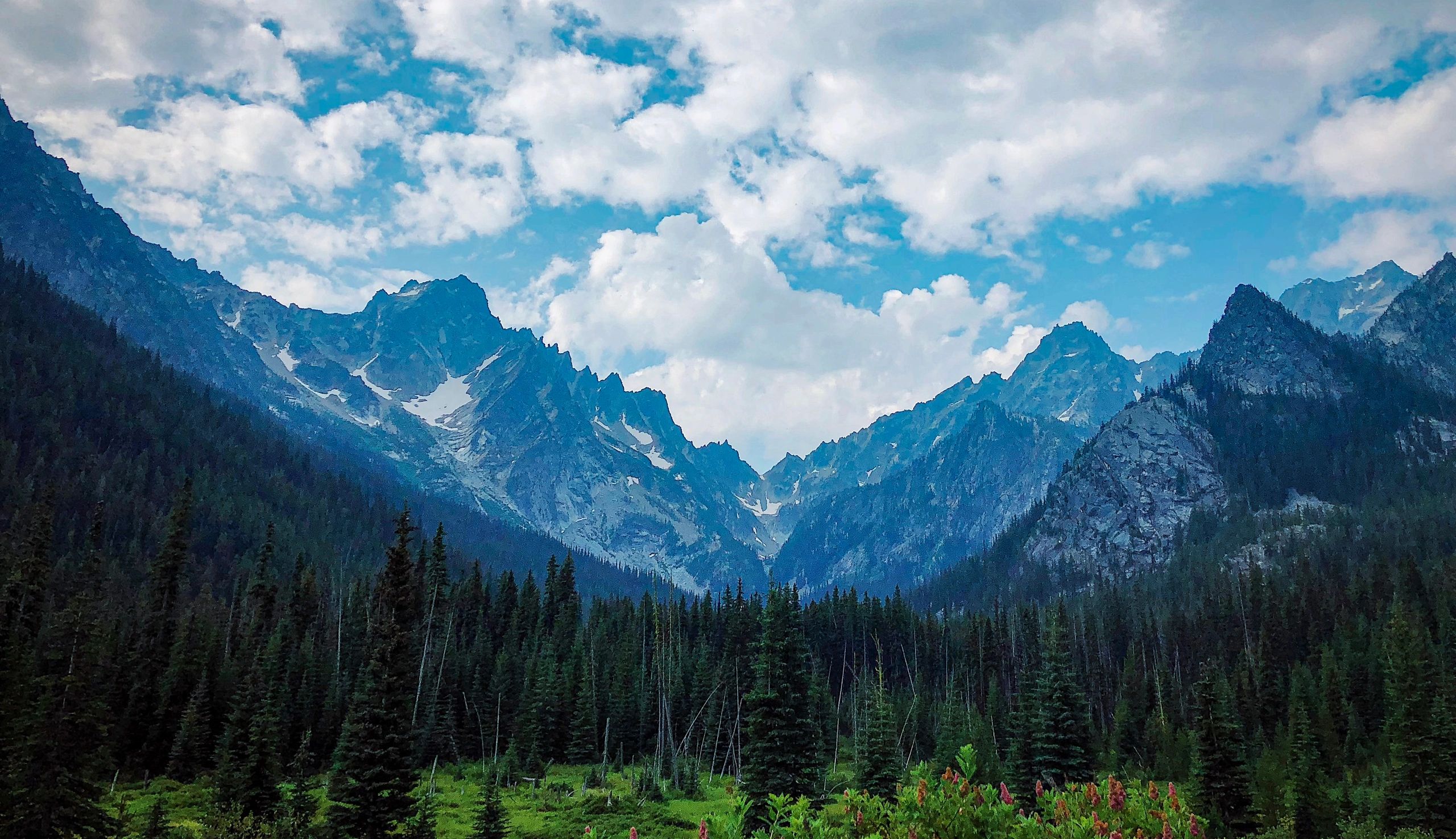 Washington Conservation Science Institute