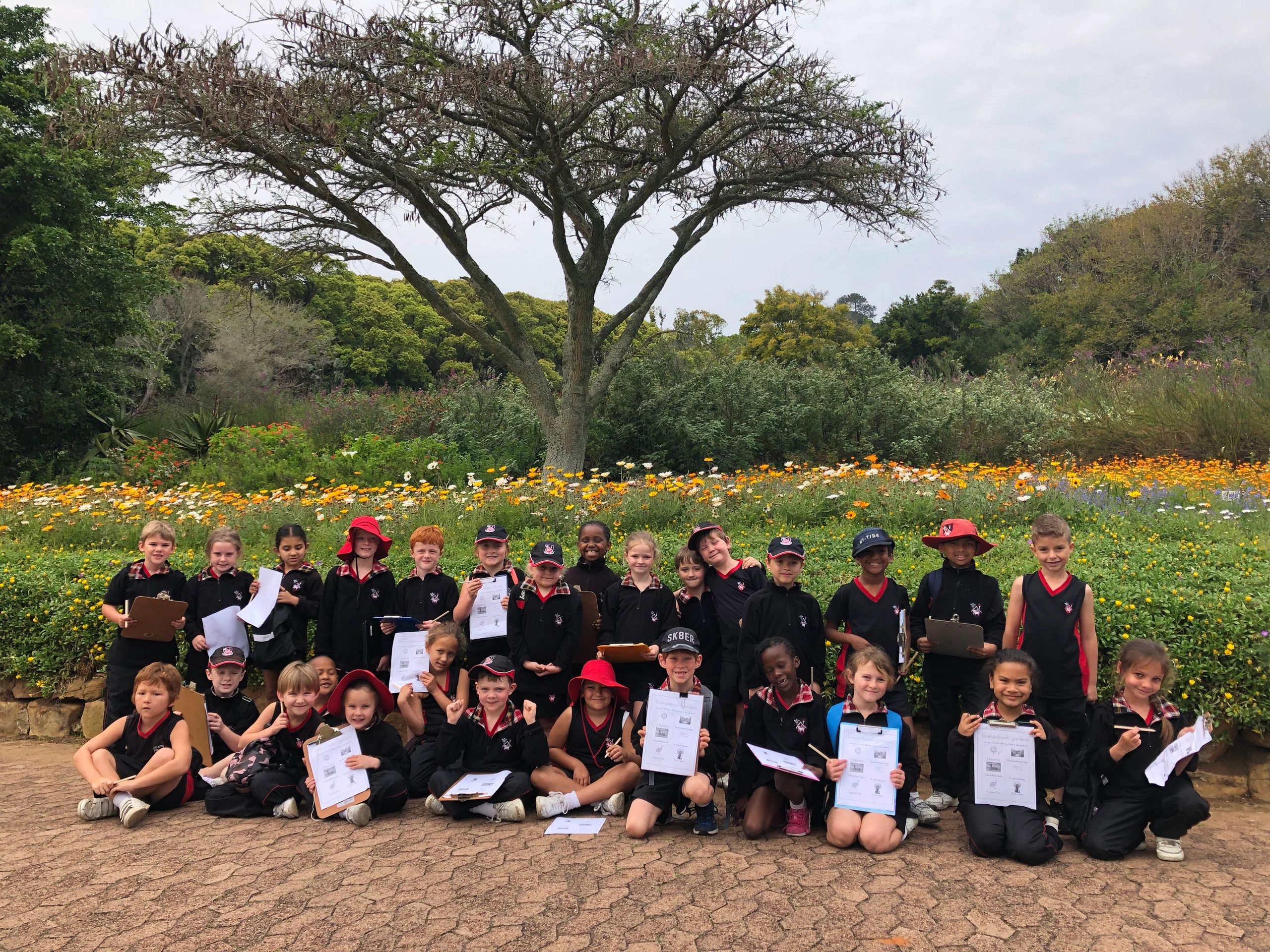 Fish Hoek Primary School - Primary School - Cape Town, Western Cape