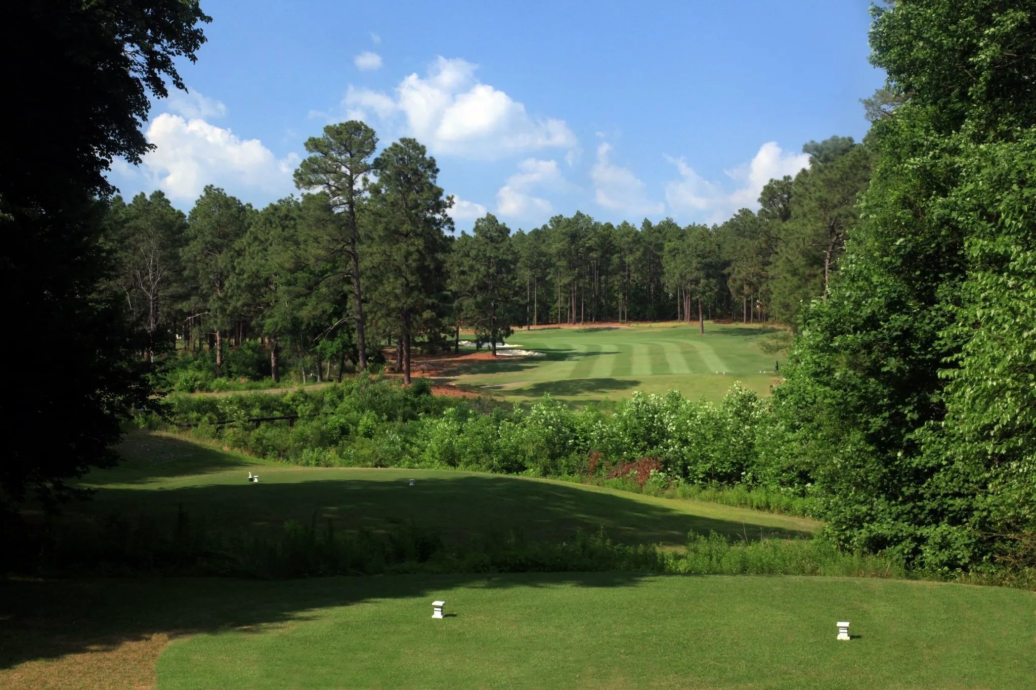 The Candice Robertson Invitational