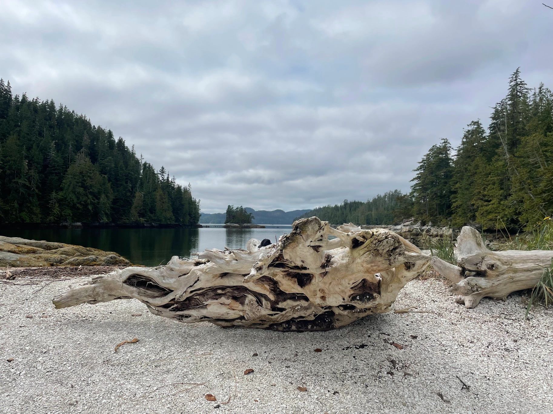 Becker Burrows & Associates