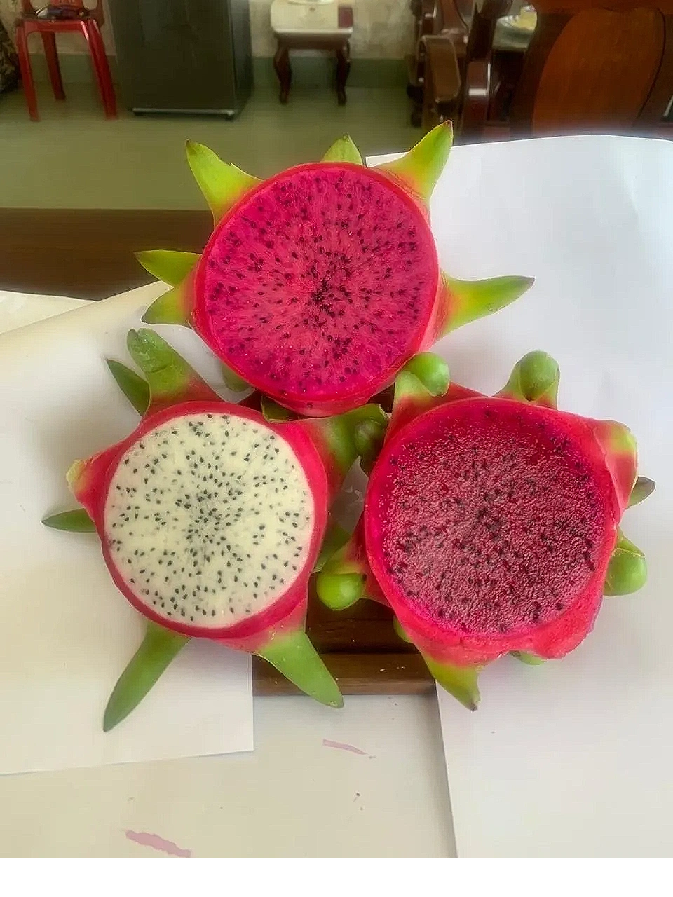 Home [kfbinternational.com]