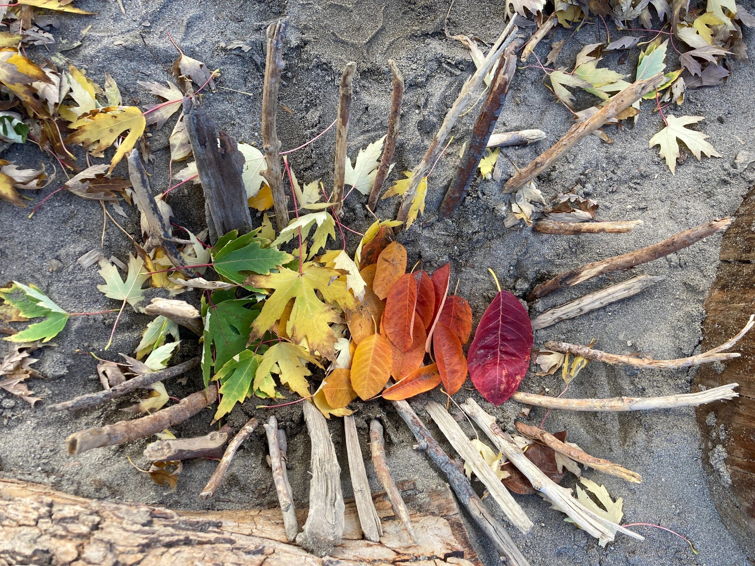 Zoe Bray Artist - Eco Art, Painter Artist, Nature, Eco Art