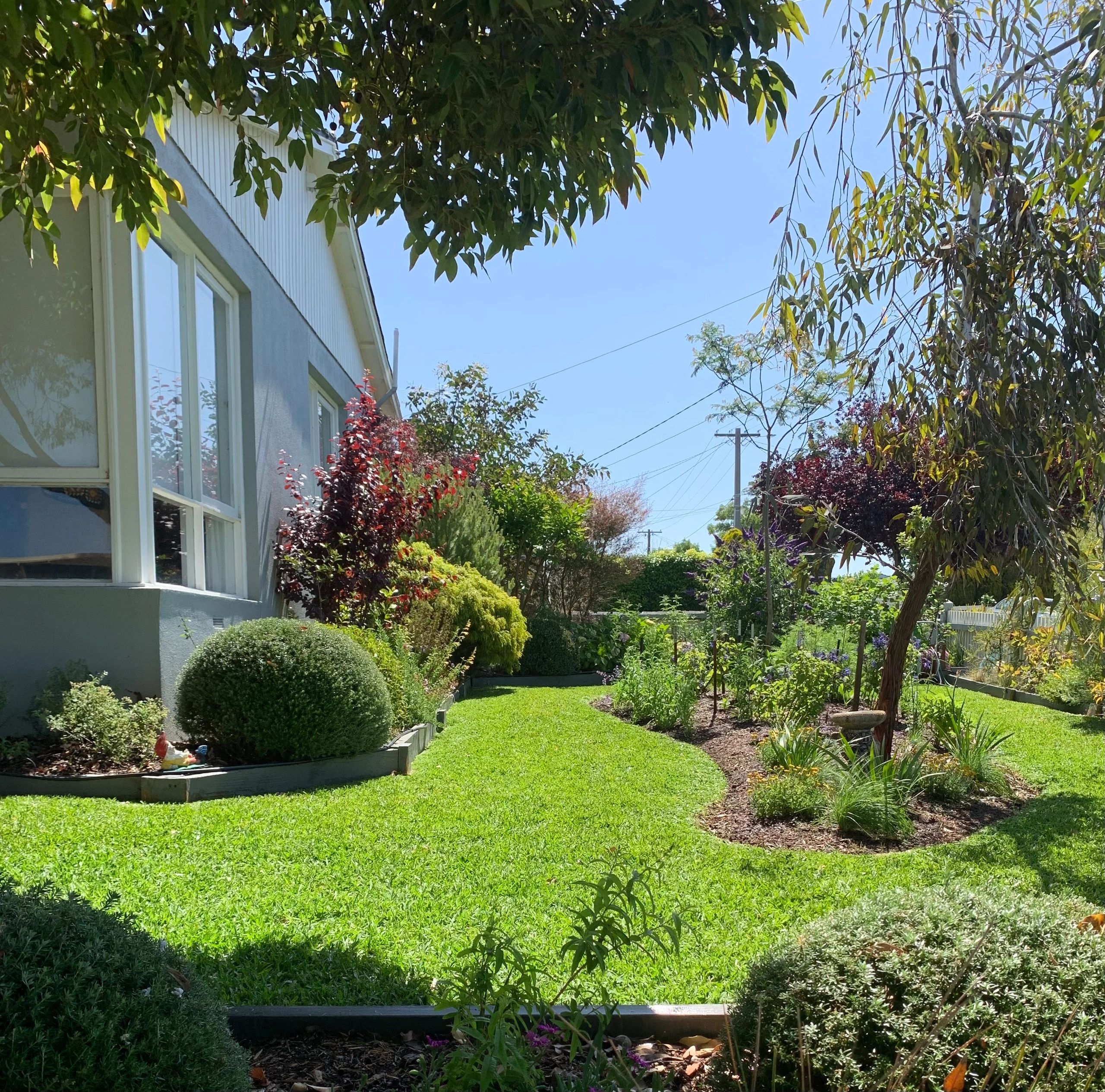 Very Nice Gardens - Garden maintenance Geelong, Bellarine, Surf Coast ...