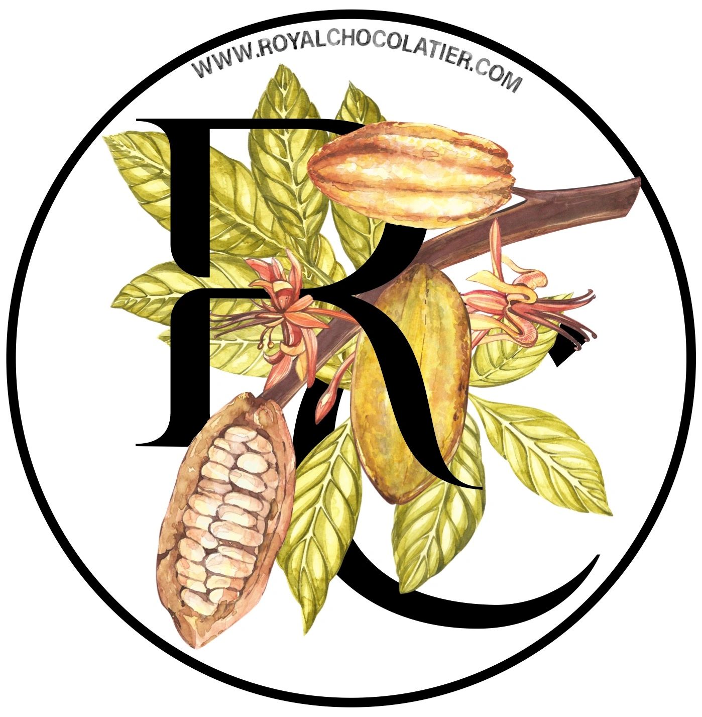 Buy Premium Cocoa Powder Online | Royal Chocolatier