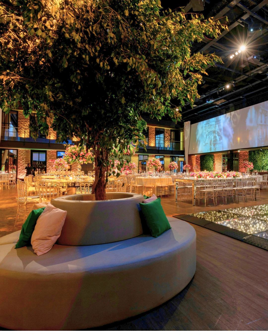 About us | The Tree Rental Company