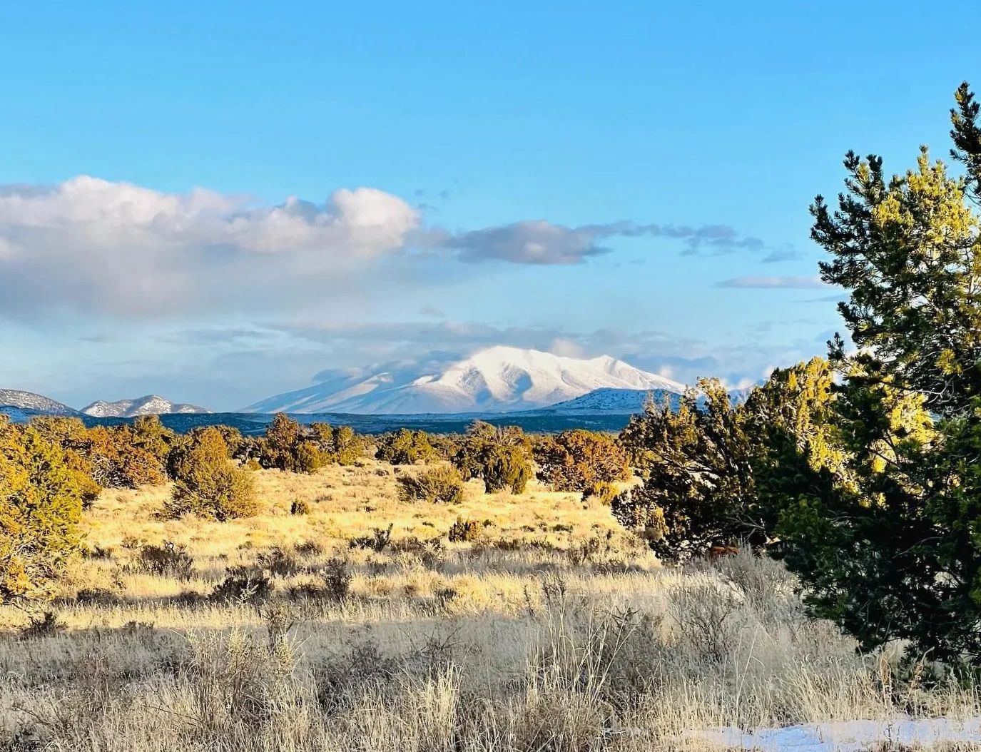 Raw Land Specialists: Find Your Perfect Homesteading Land