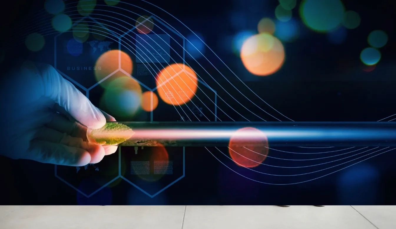 Our Services - Aryan Consulting INC.