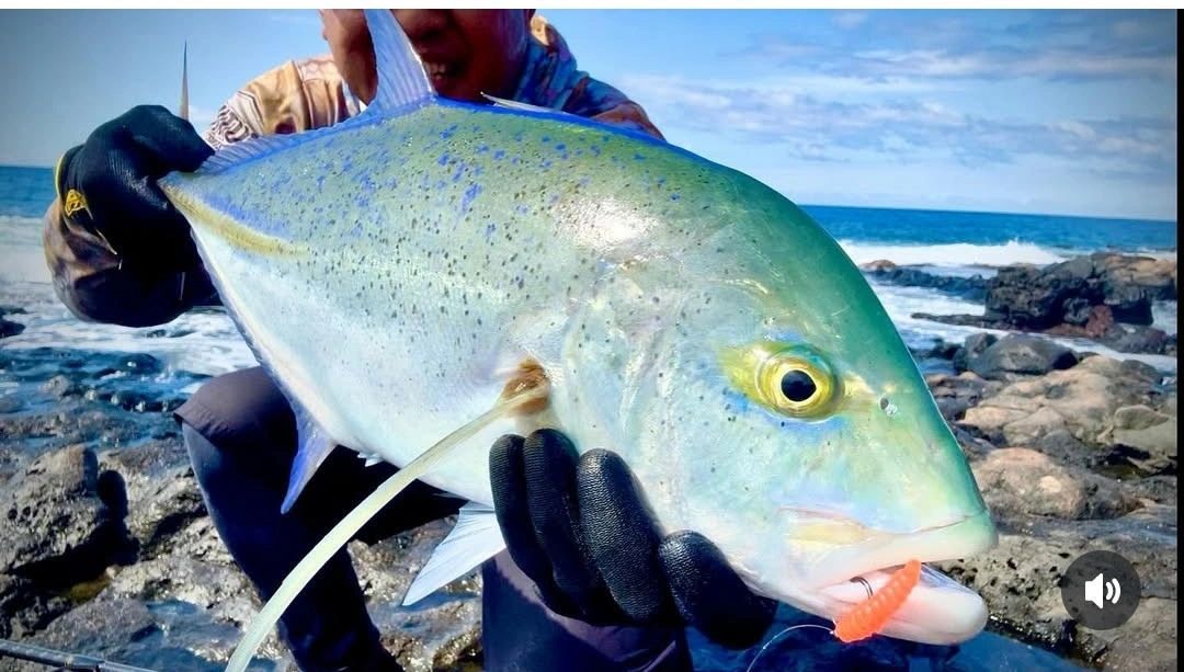 Hawaiian Fishing Gear | Aloha Tackle