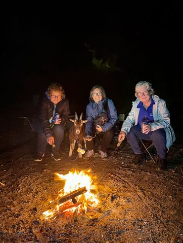 Goat Adventures, Hiking with goats in Quebec - Day Trips From Quebec ...