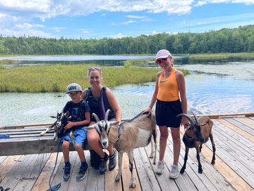 Goat Adventures, Hiking with goats in Quebec - Day Trips From Quebec ...