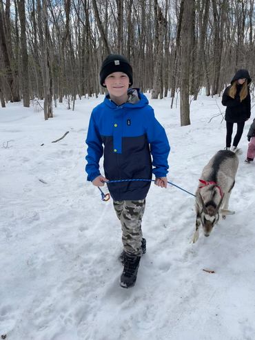 Goat Adventures, Hiking with goats in Quebec - Day Trips From Quebec ...