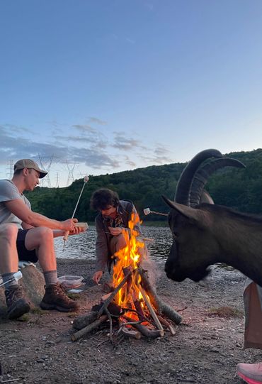 Goat Adventures, Hiking with goats in Quebec - Day Trips From Quebec ...