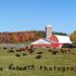 Jackson Family Farms - Grass Fed Beef, Farm, Event Venue