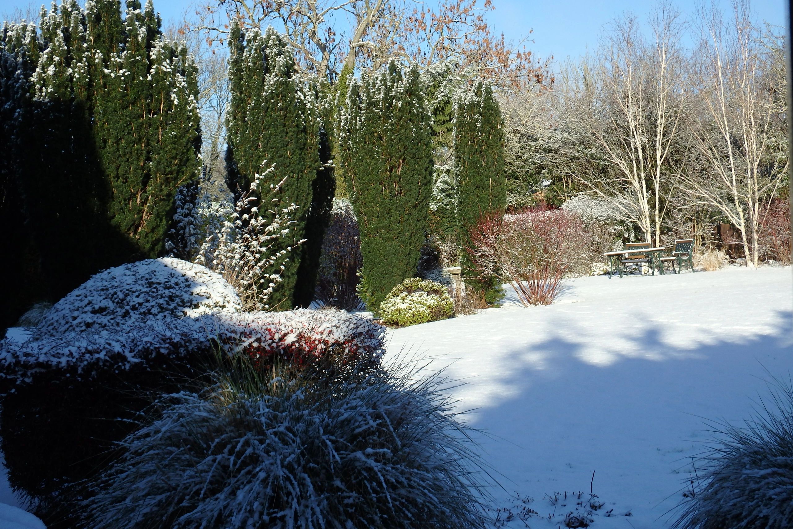 Countdown Giveaway: Closes Wednesday 7 January 2026