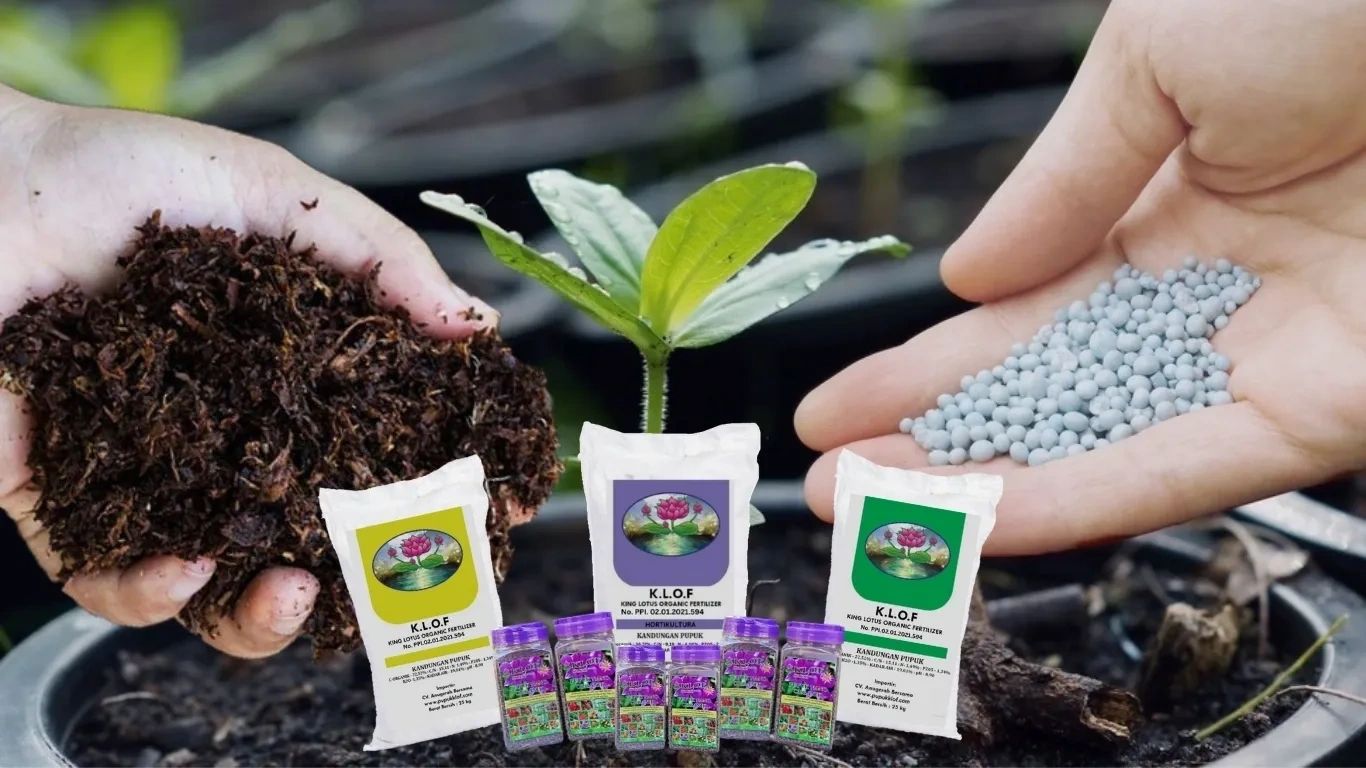 Pupuk - Pupuk Klof, Pupuk Organik