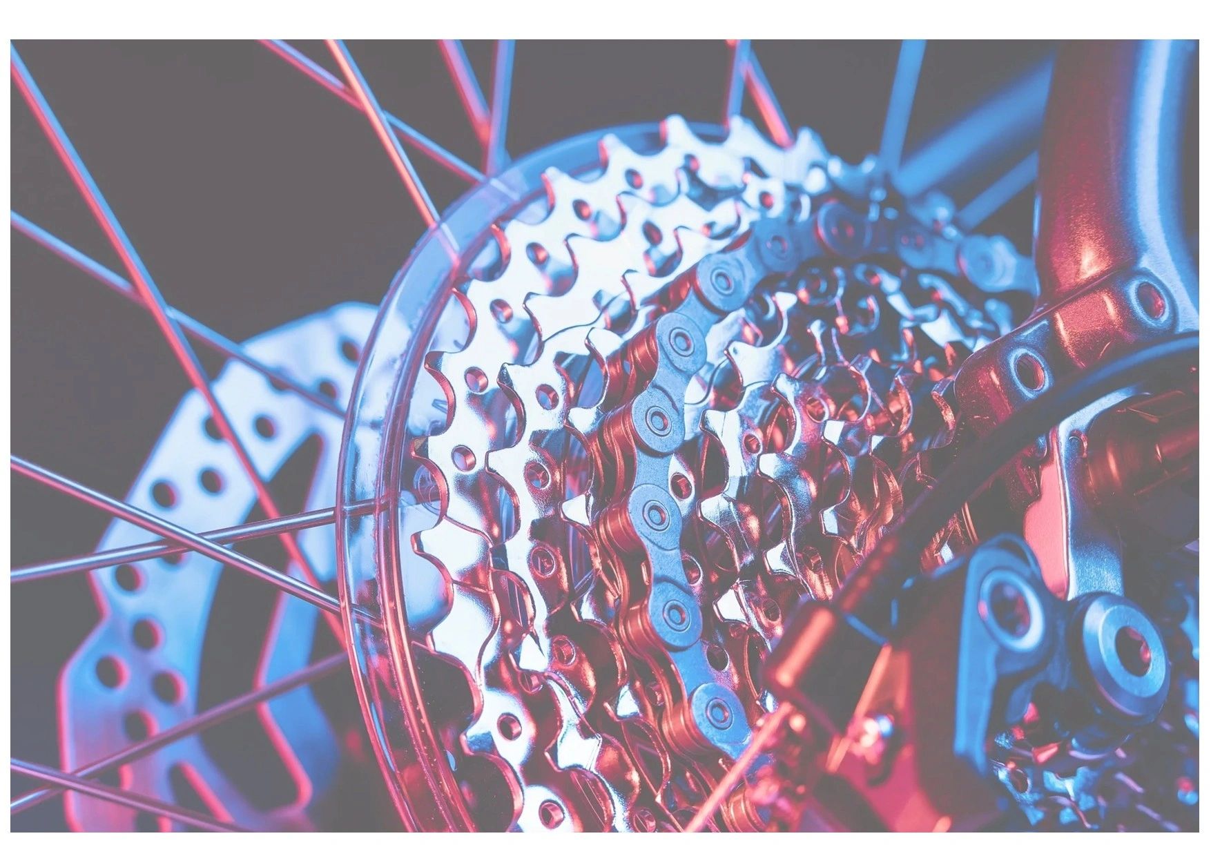 Expert Bike Repair Services | Just Ride Bikes