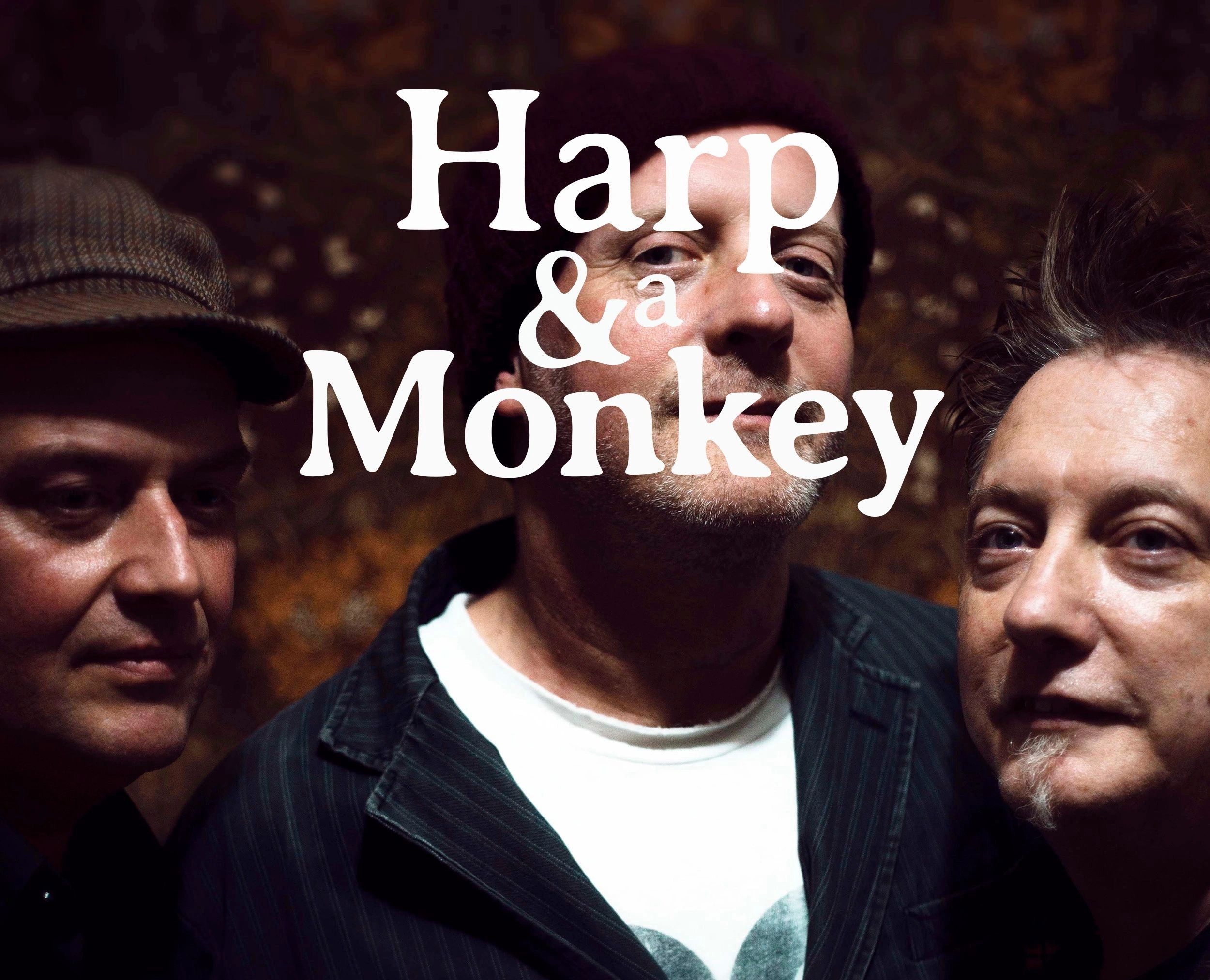 Discover Traditional Folk Music with Harp And A Monkey