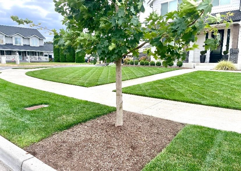 Legend Landscaping LLC