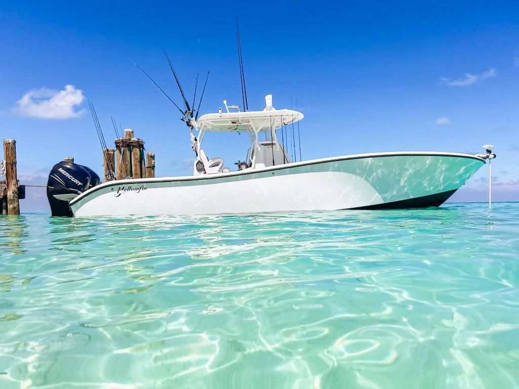 Limitless Fishing Charters - Fishing Charters, Fishing Guide, Fishing