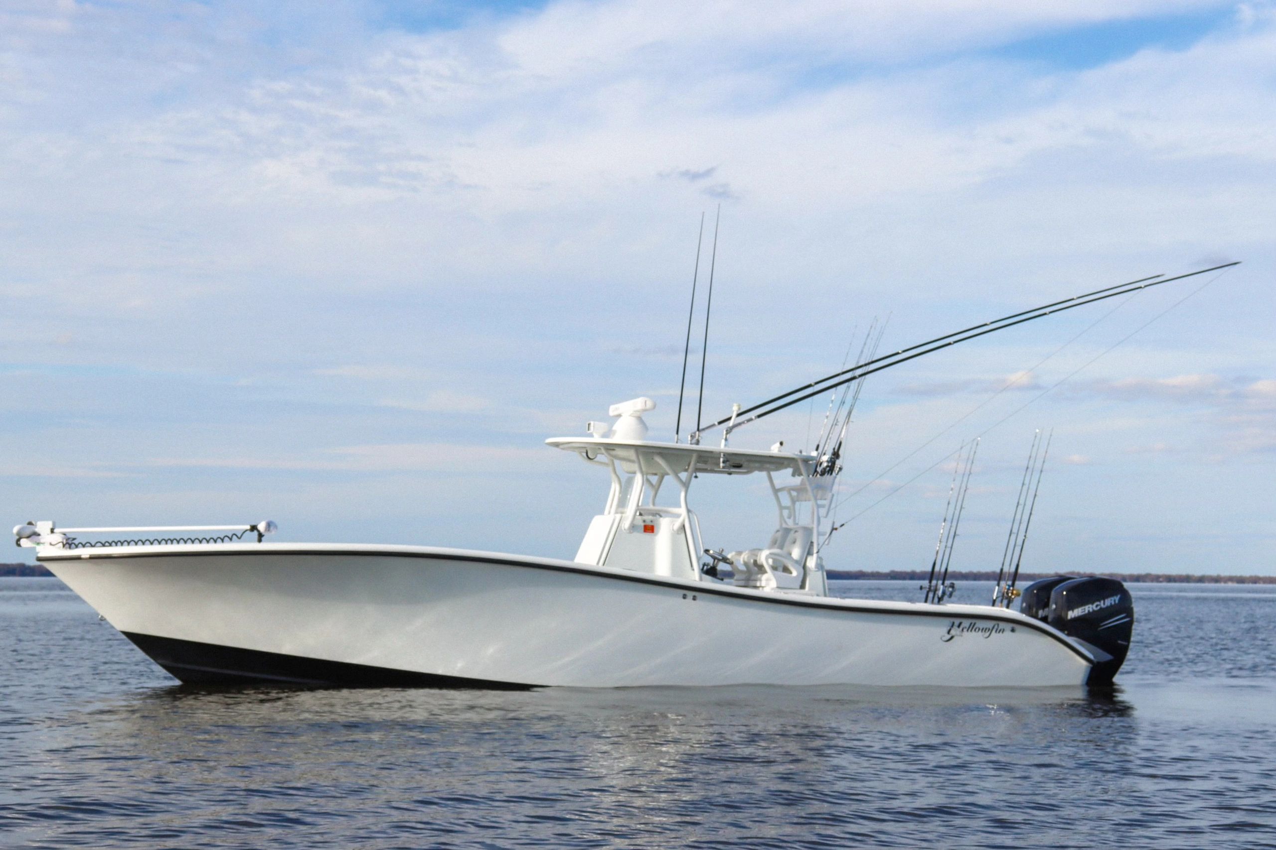 Limitless Fishing Charters - Fishing Charters, Fishing Guide, Fishing