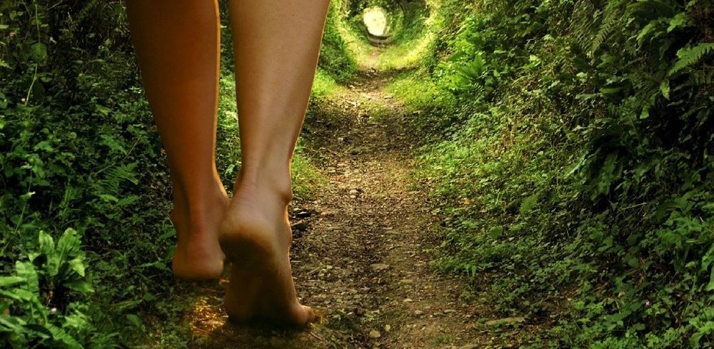 Plant Your Feet: 6 Steps To Discovering the Power of Grounding