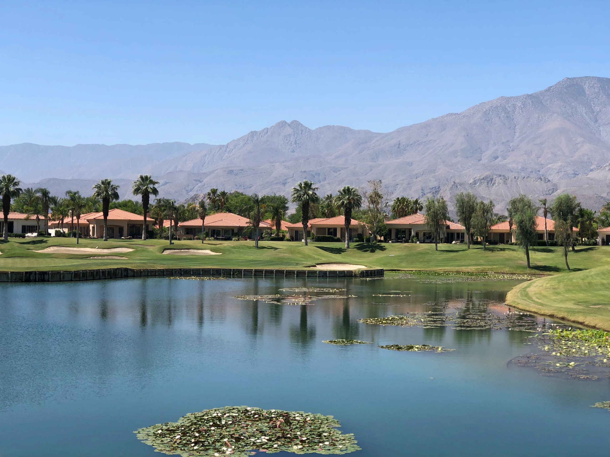 Dion Butler Photography