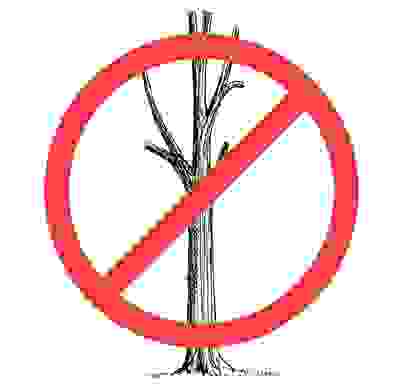 No Topping | Straight Cut Tree Services