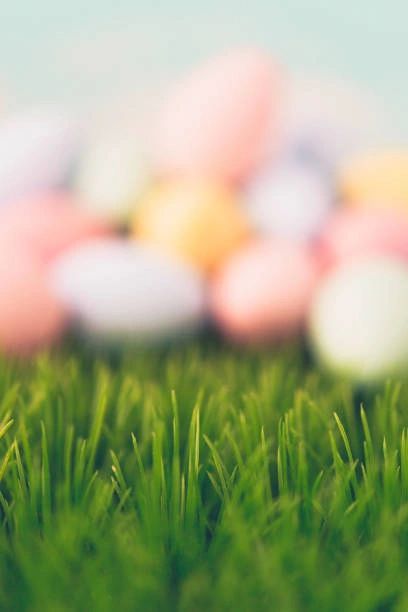 The Easter Weasel | The Easter Weasel