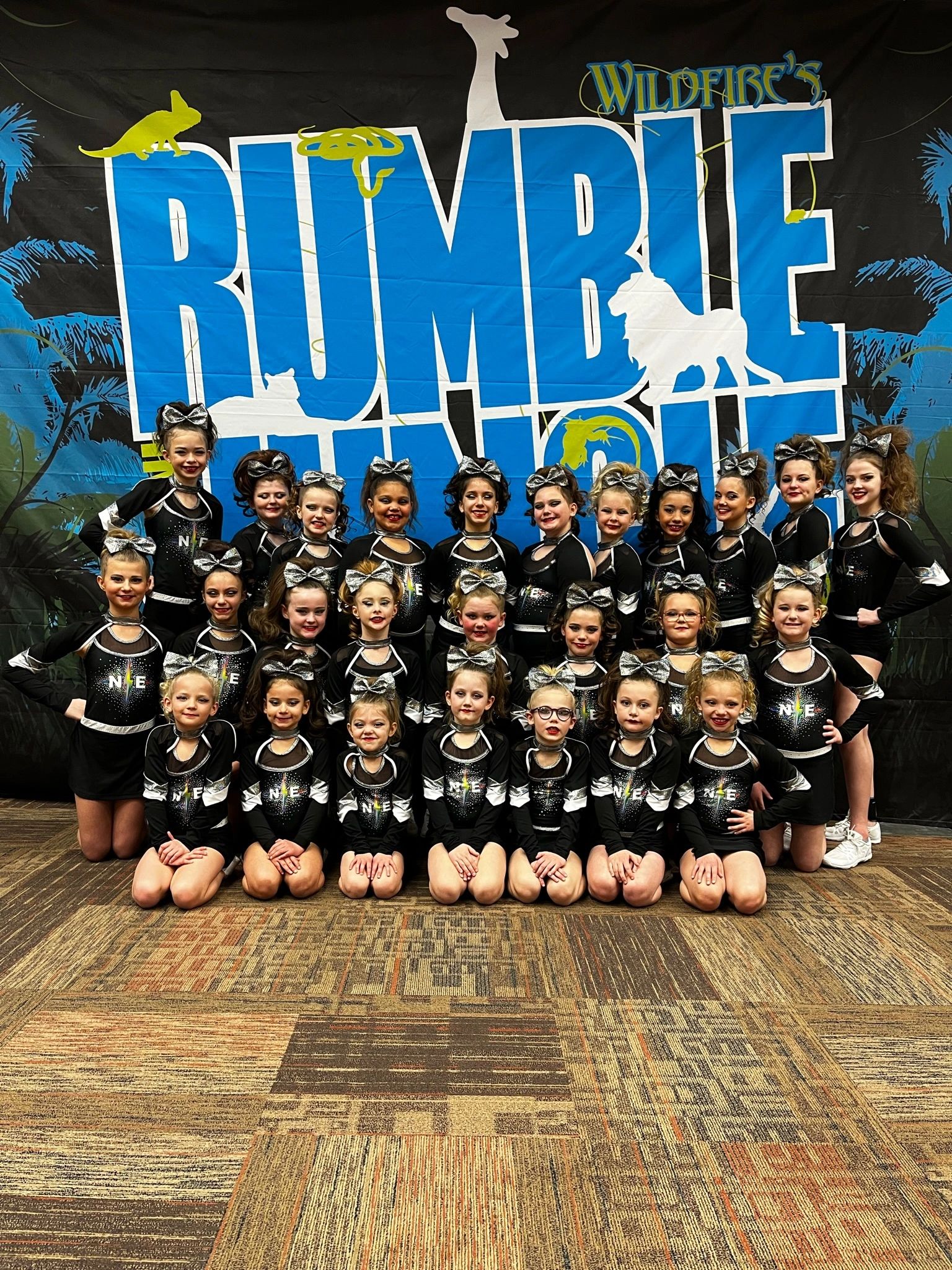 Northern Elements Cheer, LLC - Cheerleading, Tumbling