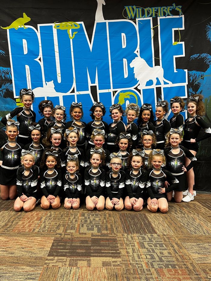 Northern Elements Cheer, LLC - Cheerleading, Tumbling