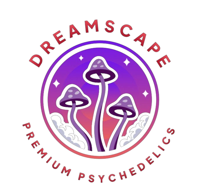 Store | Dreamscape