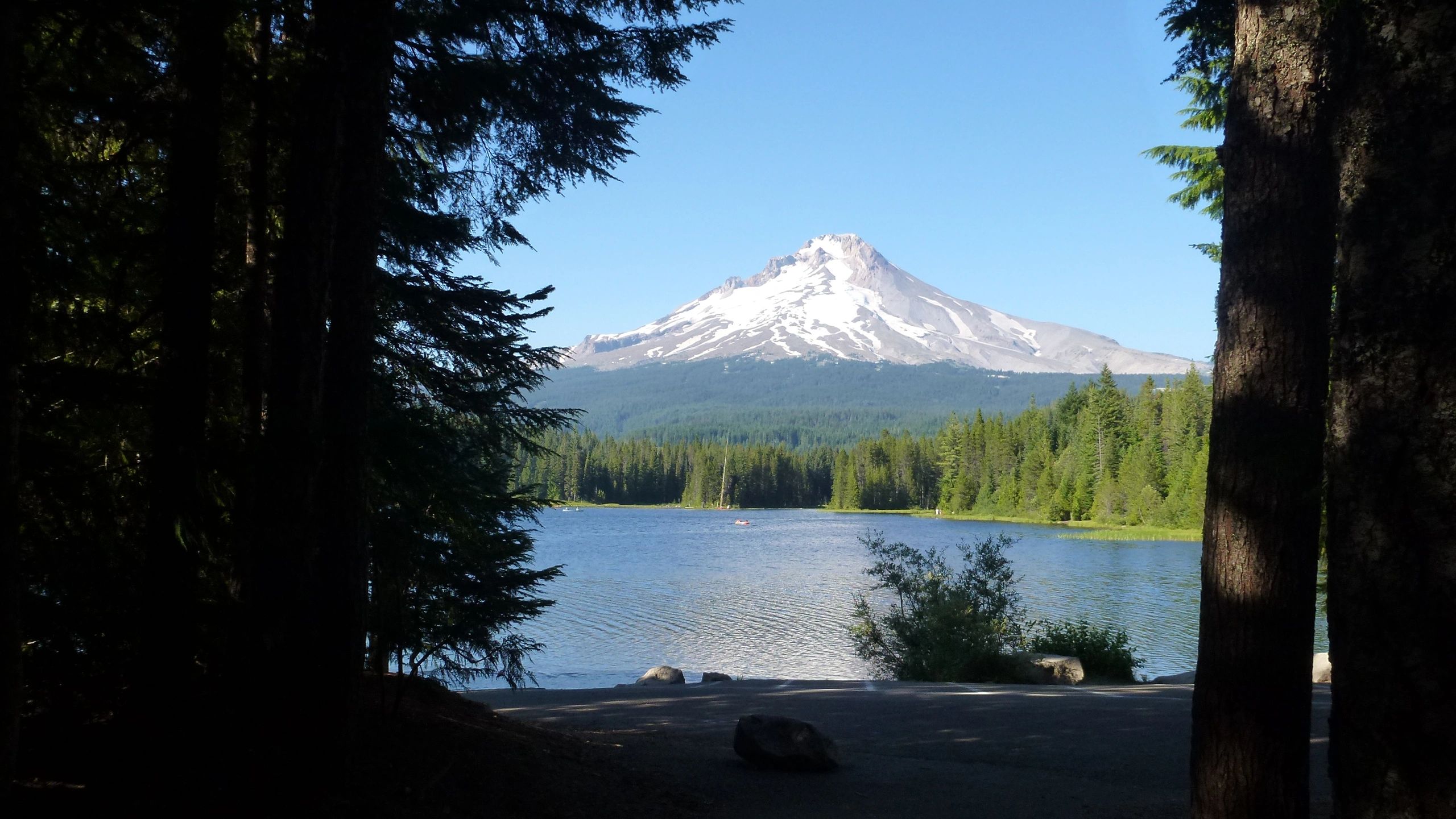 Stringer Real Estate LLC - Willamette Valley, Realtor, Homes for Sale