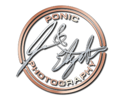 Professional Portrait Photography Services