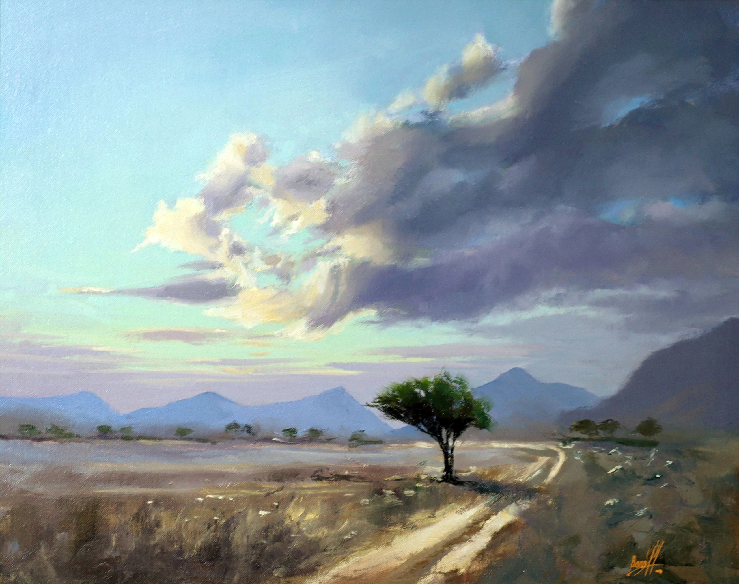 The Ghaf tree of the U.A.E.