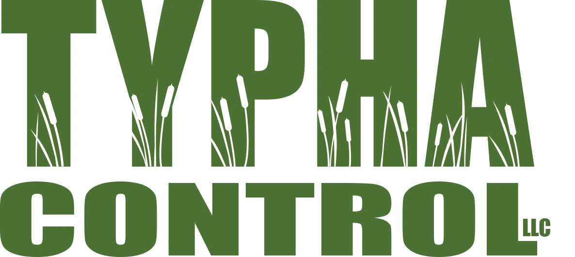 Typha Control