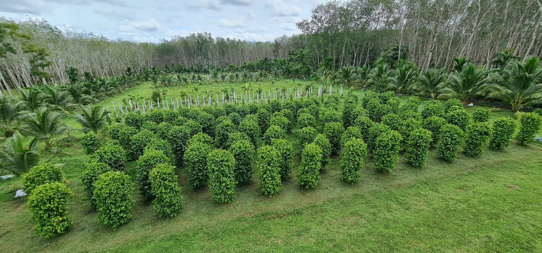 Home [bansuanheritage.com]