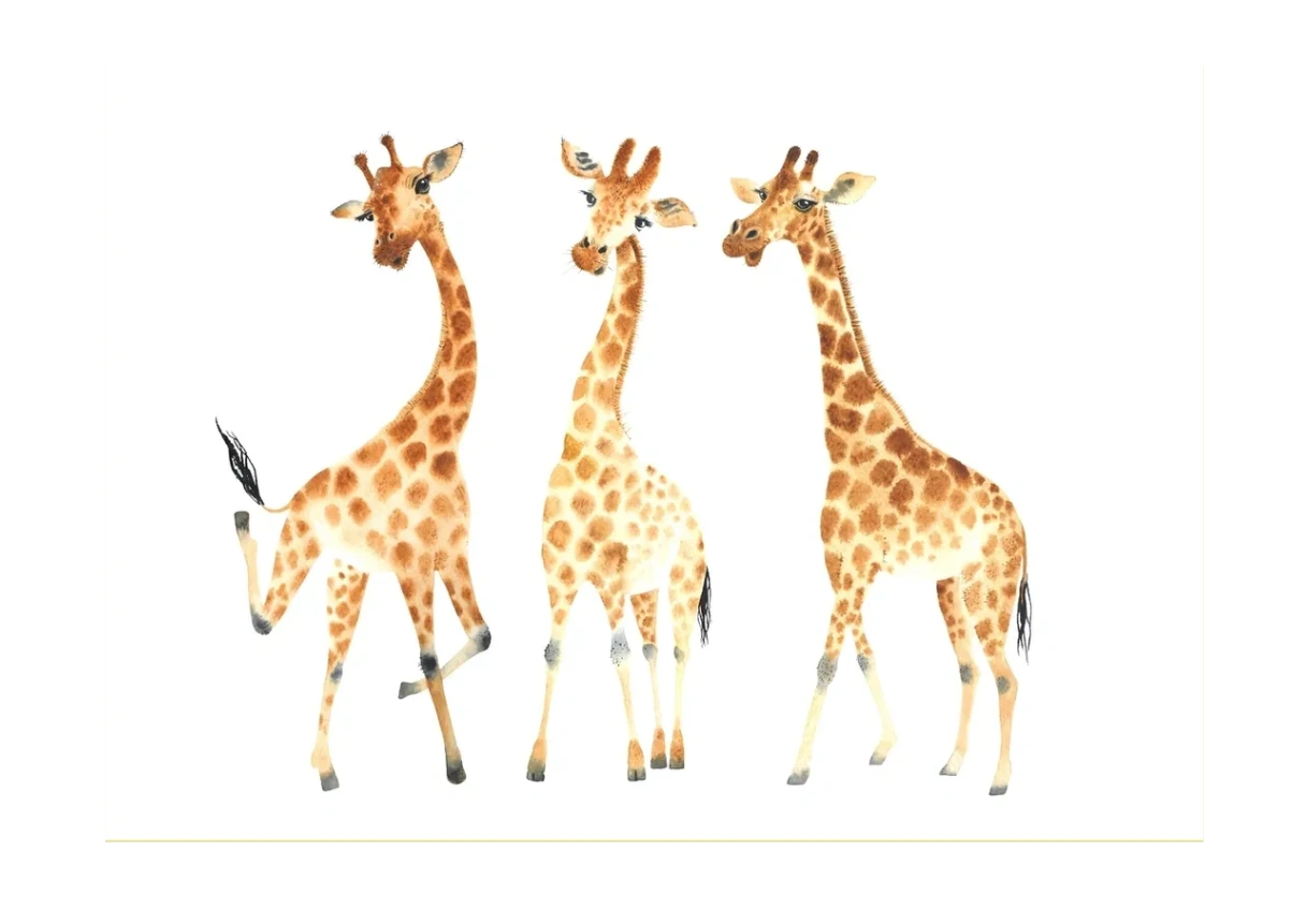 Mini Movers Physiotherapy